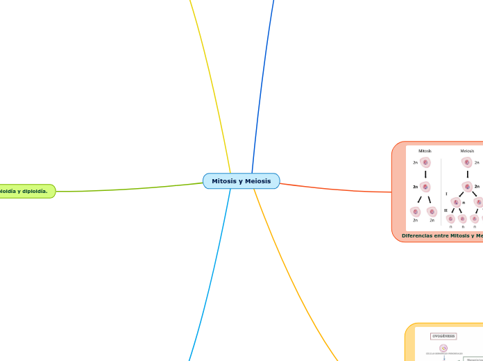 Mapa Mental - Mapa Mental - Amostra